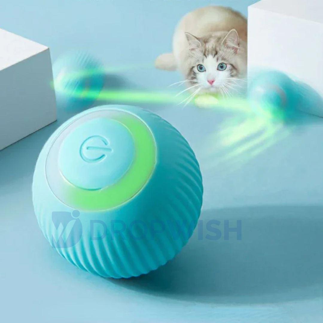 DW® Purrfect Chase Ball – Drop Wish