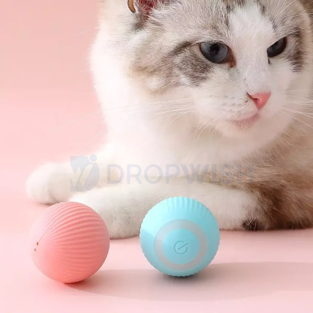 DW® Purrfect Chase Ball – Drop Wish